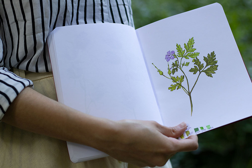 Relaxing life drawing in Hareskov forest | Illustrated postcards about ...